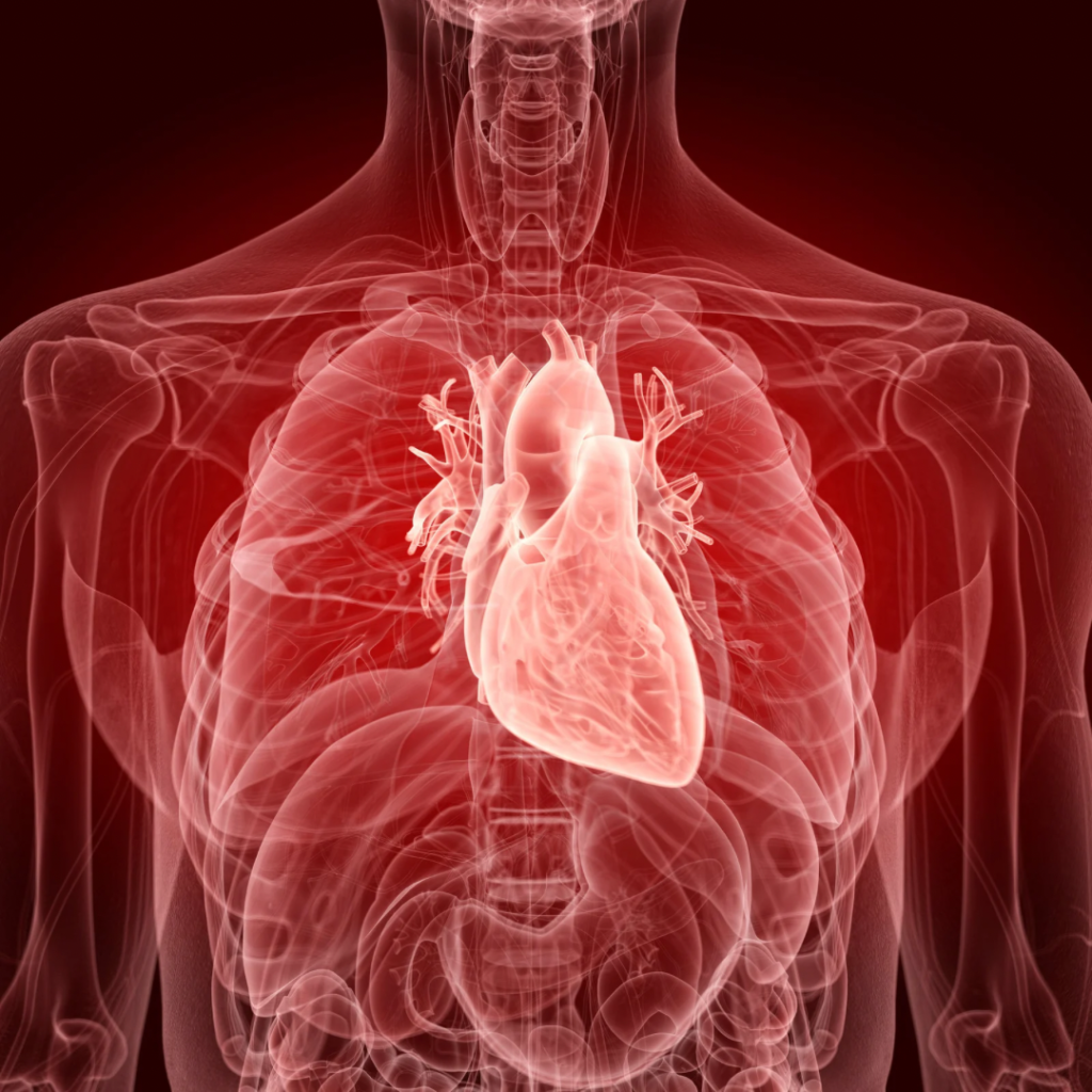 Heart Defects - Chromosome 22 Central